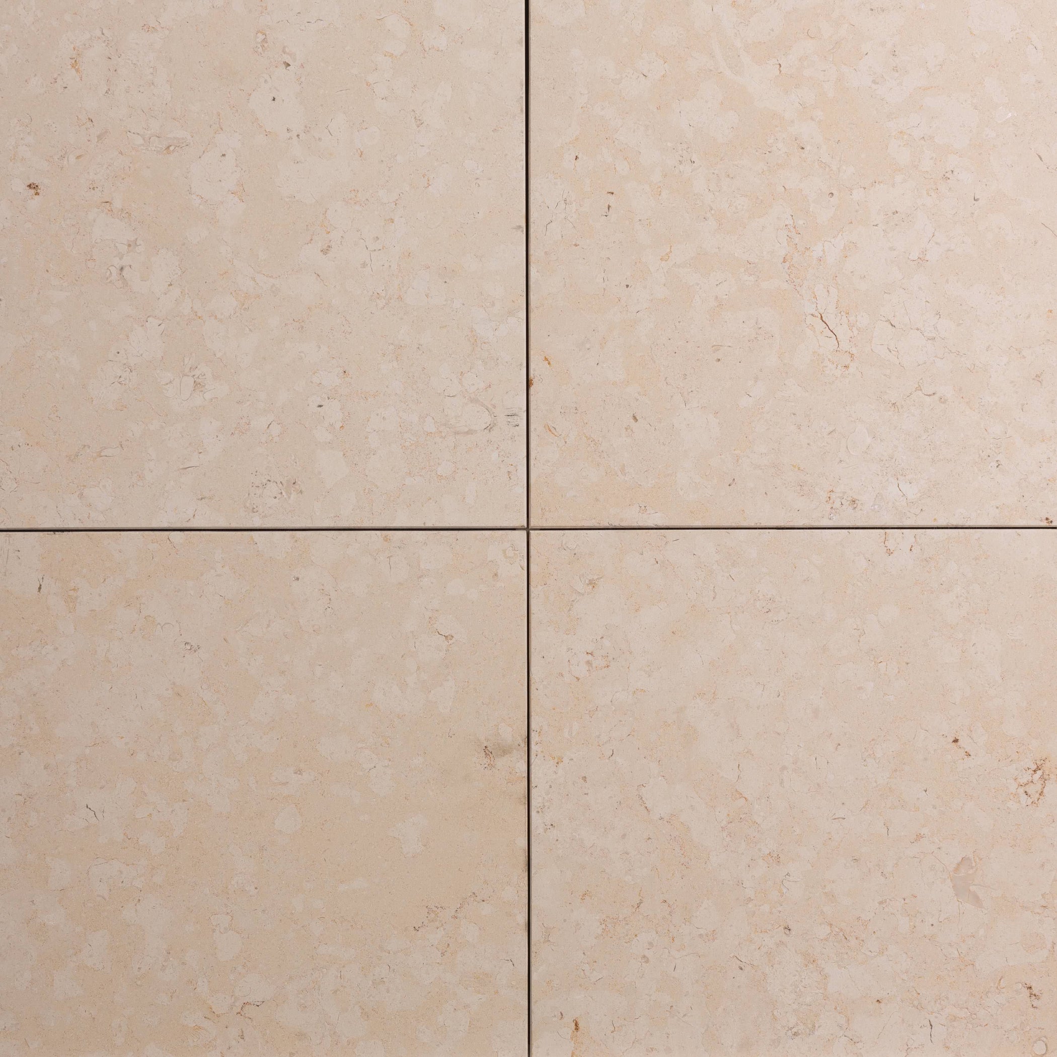 St. Croix Limestone Tile - Honed | Lowest Price — Stone & Tile Shoppe, Inc.