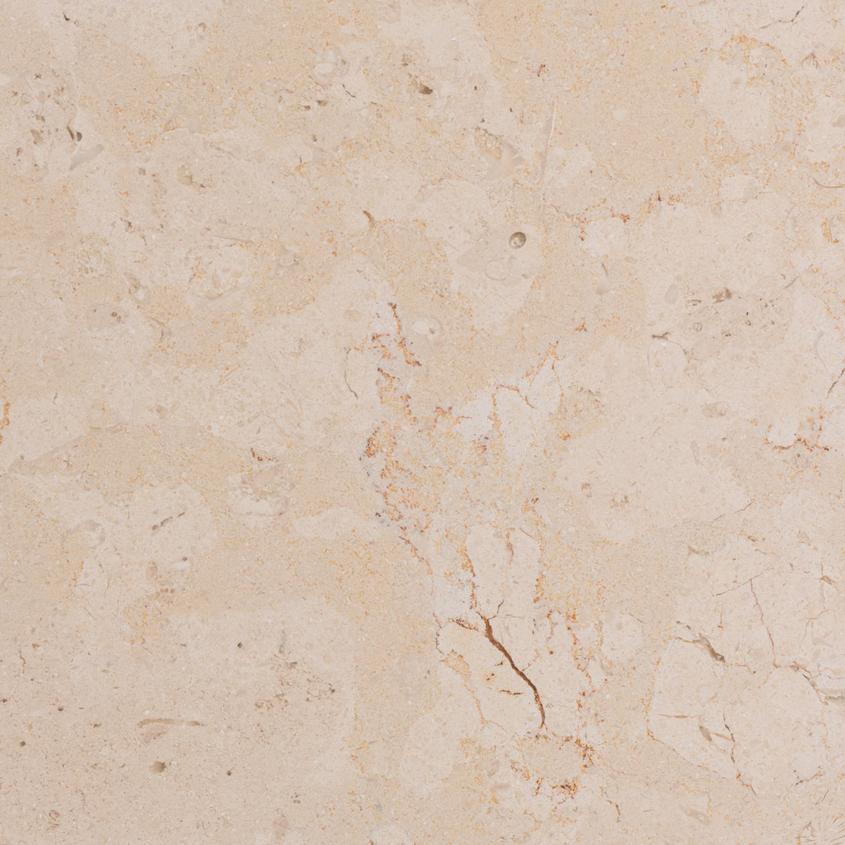 St. Croix Limestone Tile - Honed | Lowest Price — Stone & Tile Shoppe, Inc.