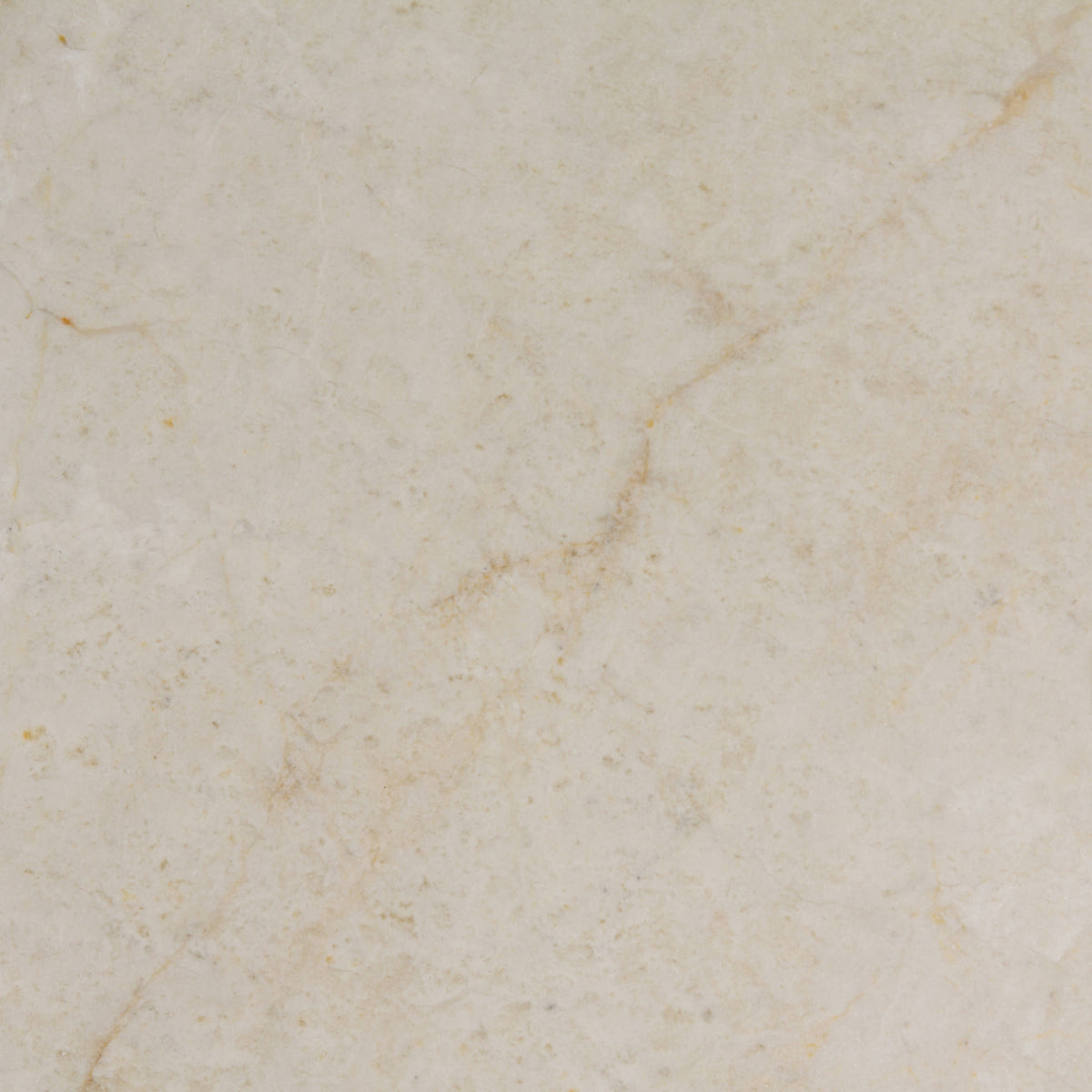 Dilato Classico Marble Tile - Polished | Lowest Price — Stone & Tile ...