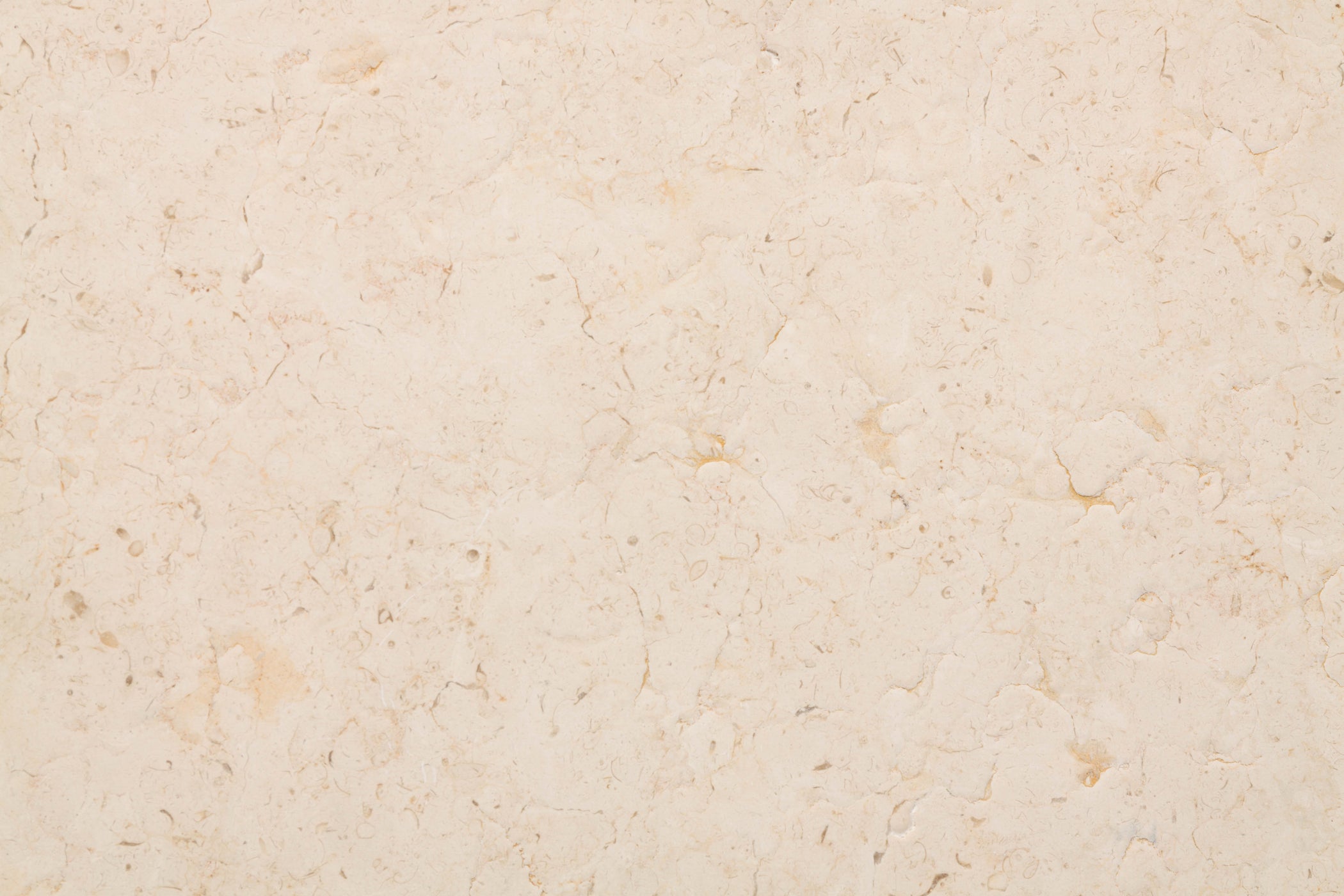 Jerusalem Bone Limestone Tile - Brushed | Lowest Price — Stone & Tile ...