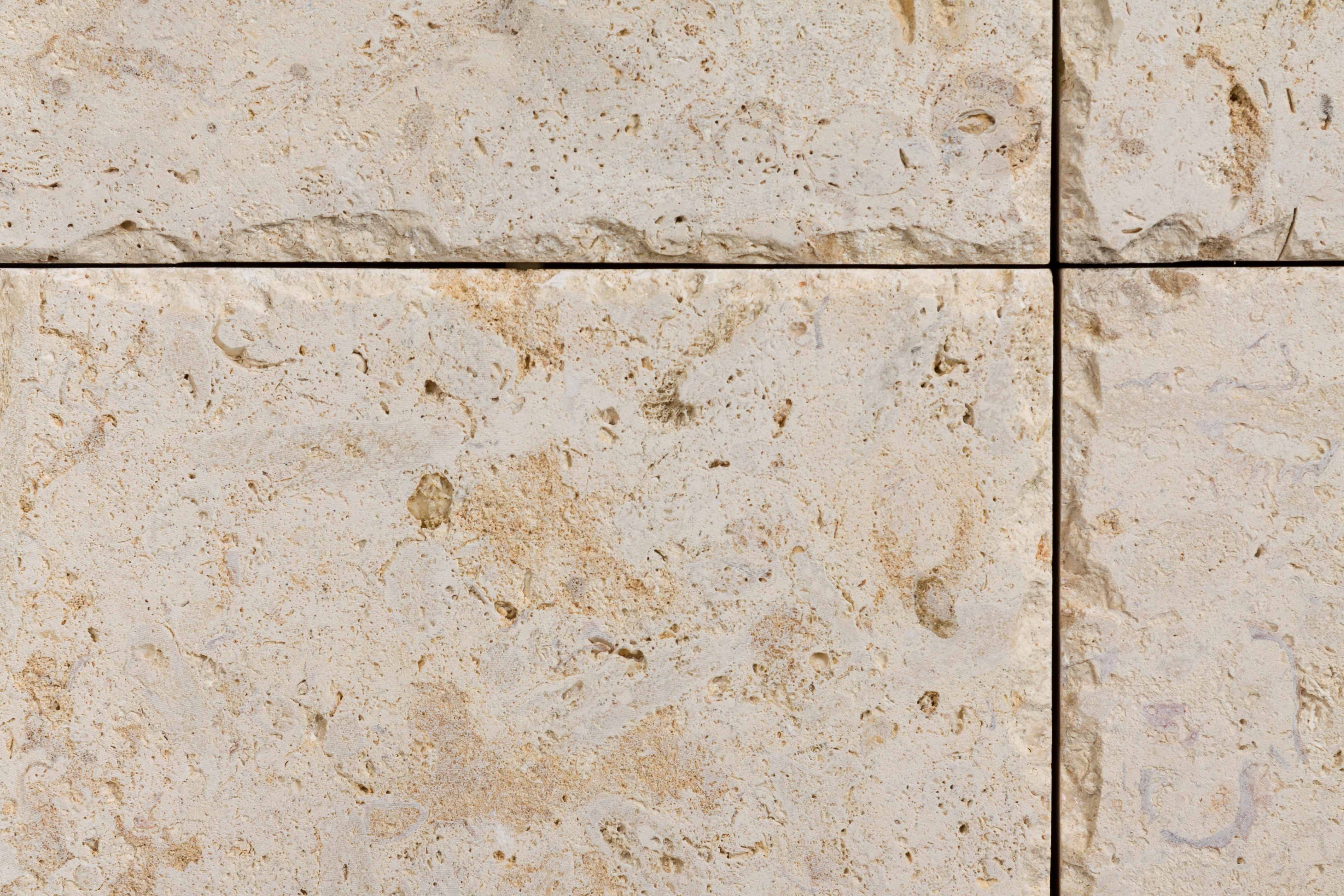 Shell Stone Shellstone Paver - Filled & Honed | Lowest Price — Stone ...