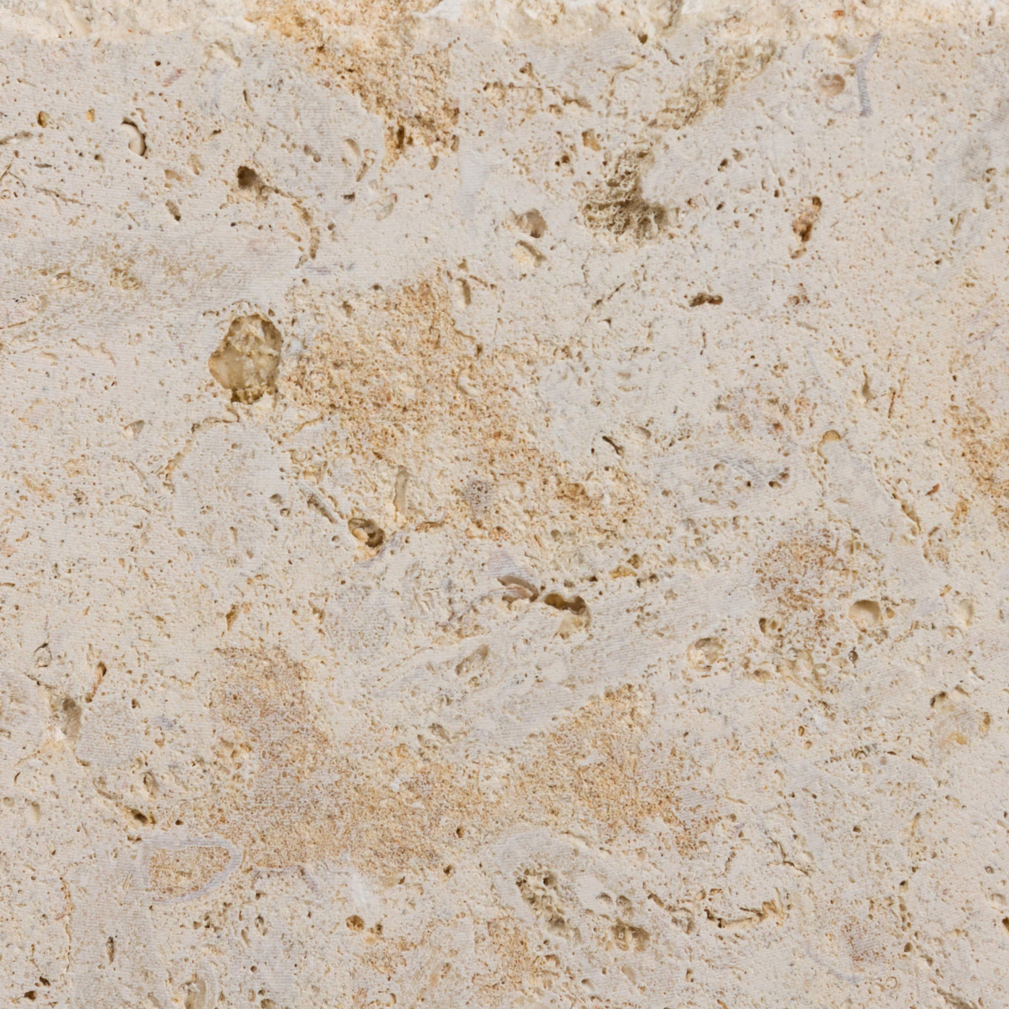 Shellstone Pavers | Stone & Tile Shoppe