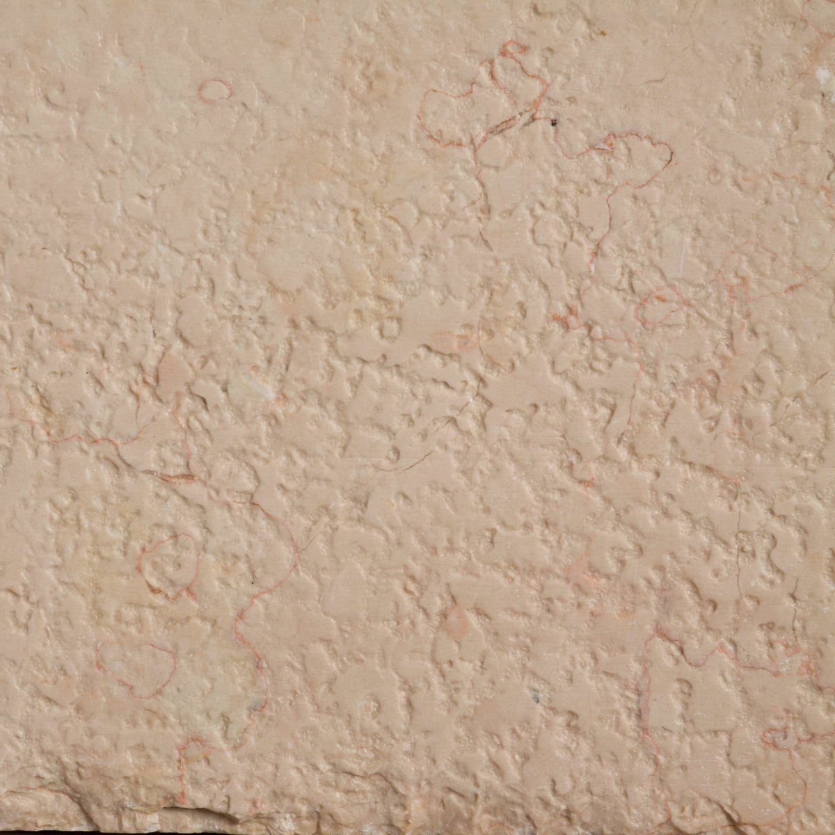 Spiro Pink Limestone Paver - Unfilled & Honed | Lowest Price — Stone ...