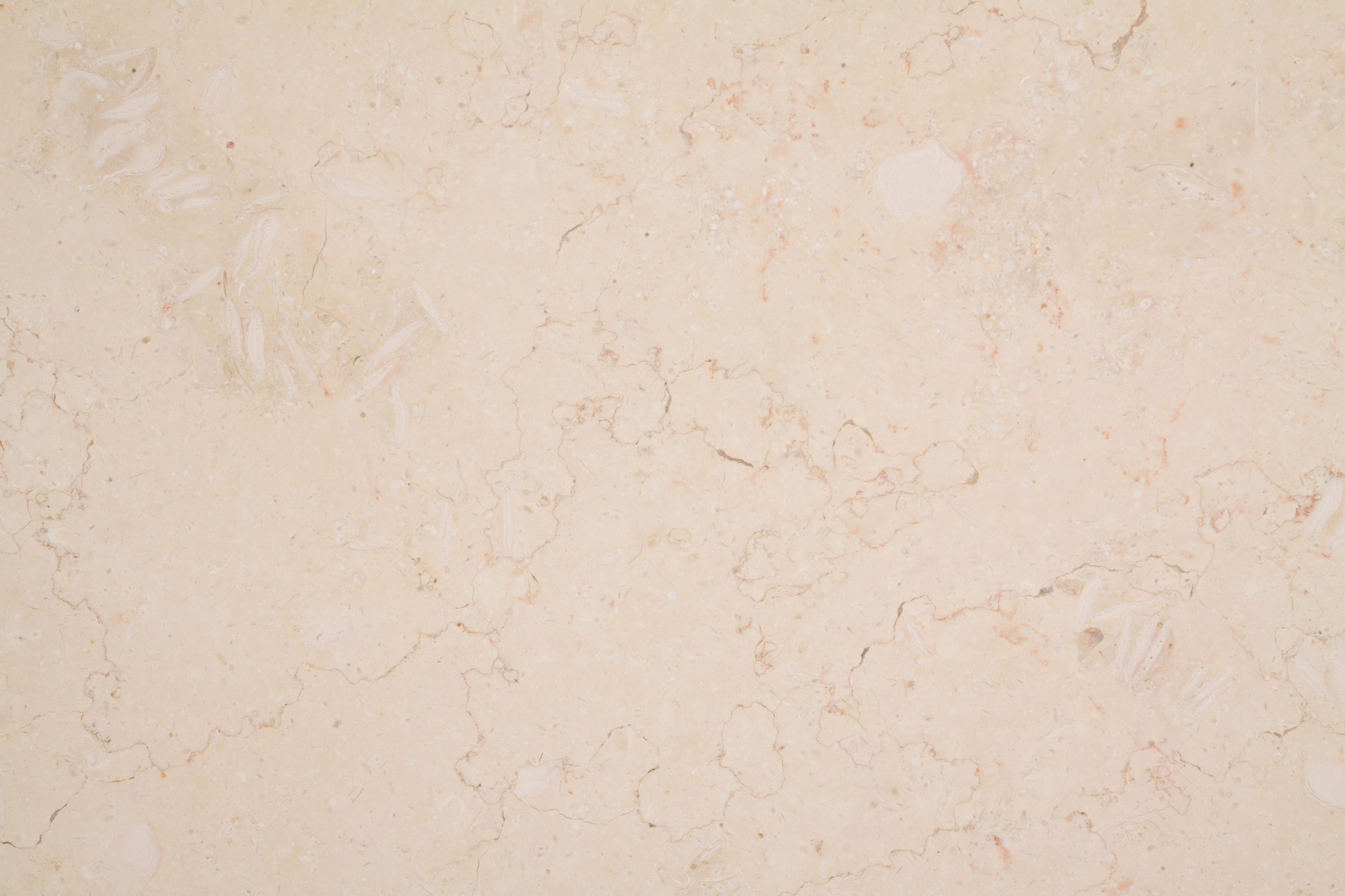 Zevia Pink Limestone Tile - Honed | Lowest Price — Stone & Tile Shoppe ...