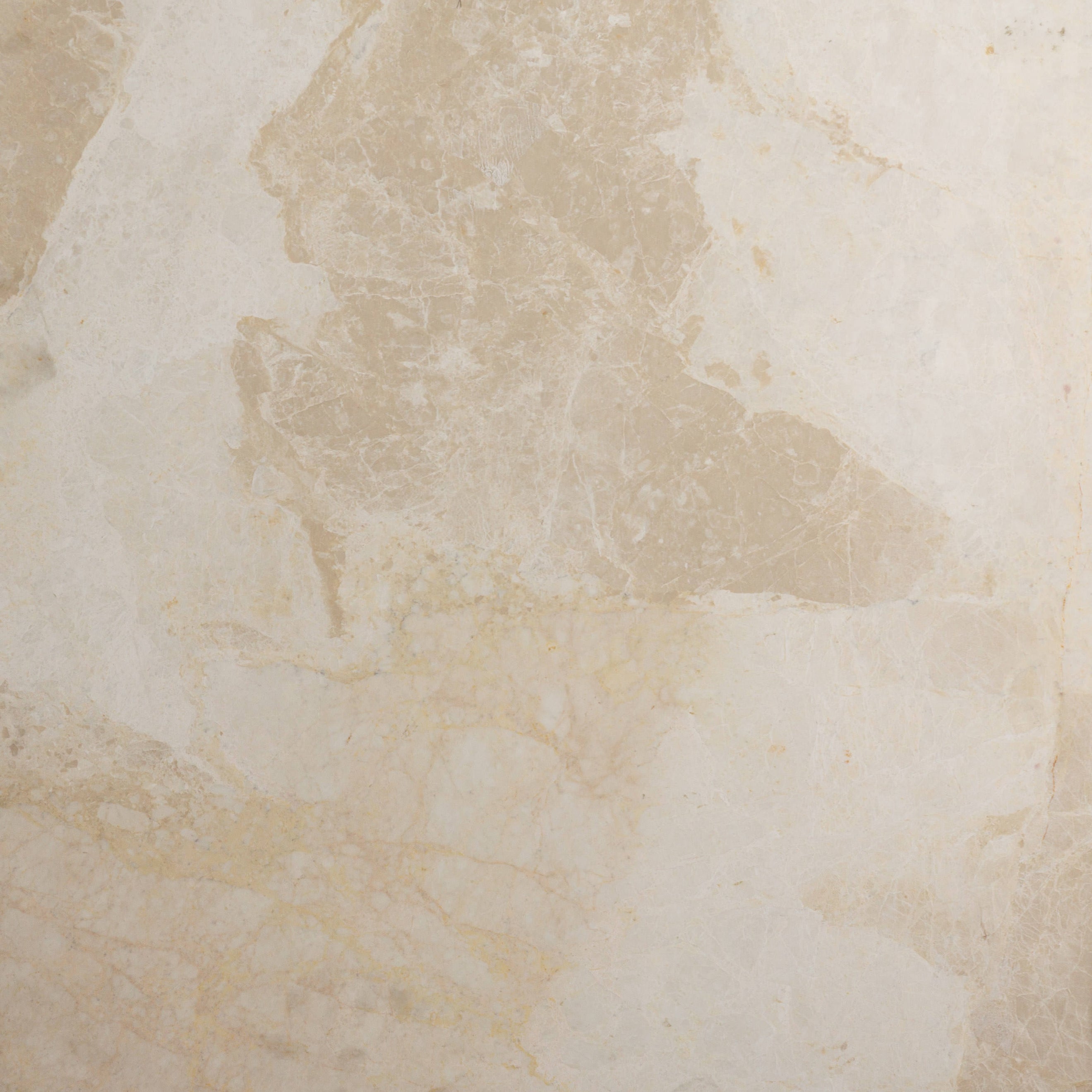 Euro Creme Marble Tile - Honed | Lowest Price — Stone & Tile Shoppe, Inc.