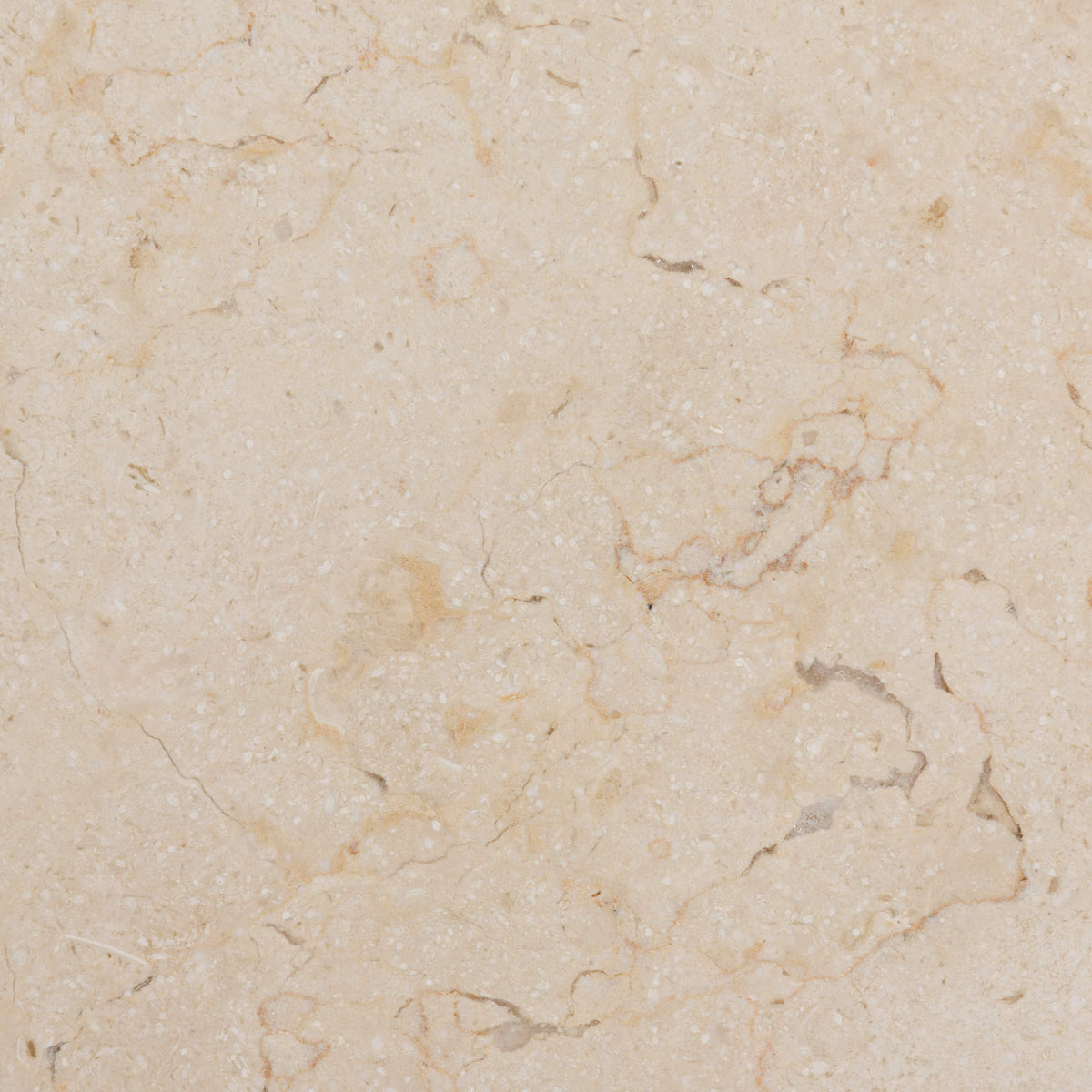 Mediterranean Ivory Limestone Tile - Polished | Lowest Price — Stone ...