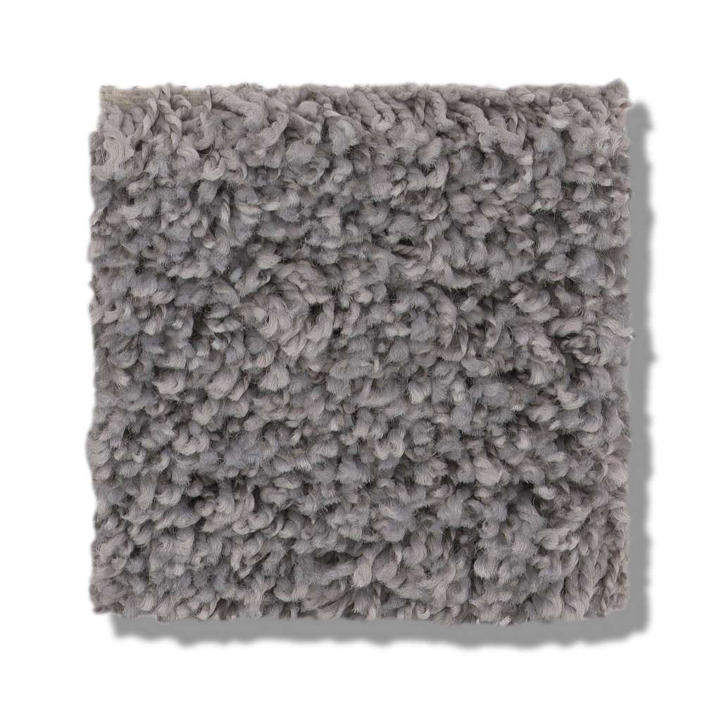 Shaw Pet Perfect Plus Quiet Sanctuary 00503 Harbor Dock Carpet — Stone ...