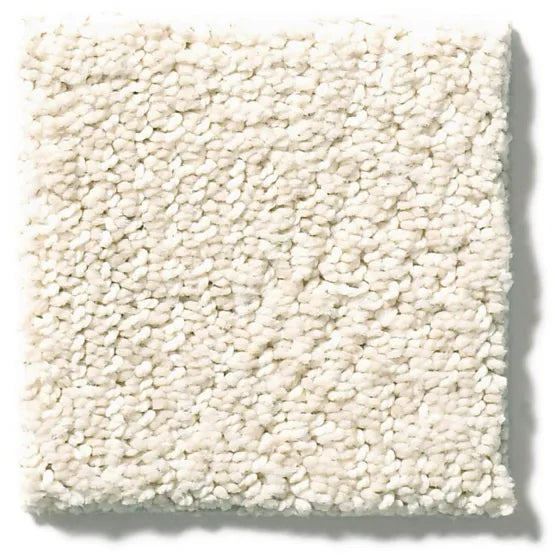 Anderson Tuftex Ario 00112 Haven Nylon Carpet — Stone & Tile Shoppe, Inc.