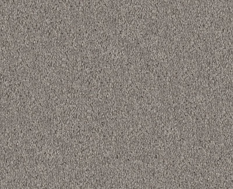 Shaw Nantucket Summer 12' 00531 Haze Textured Polyester Carpet — Stone ...