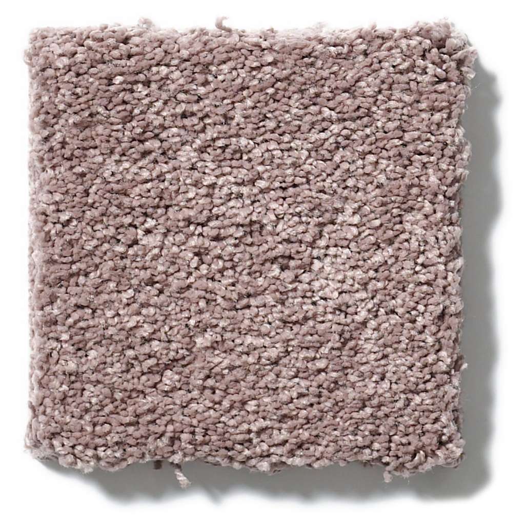 Shaw Caress By Shaw Quiet Comfort Classic IV 00922 Heather Carpet ...