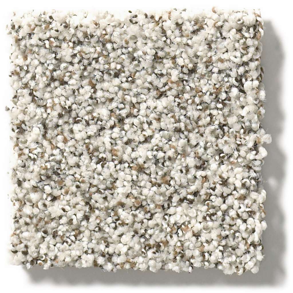 Shaw Foundations Make It Work 00780 Heirloom Textured Nylon Carpet ...