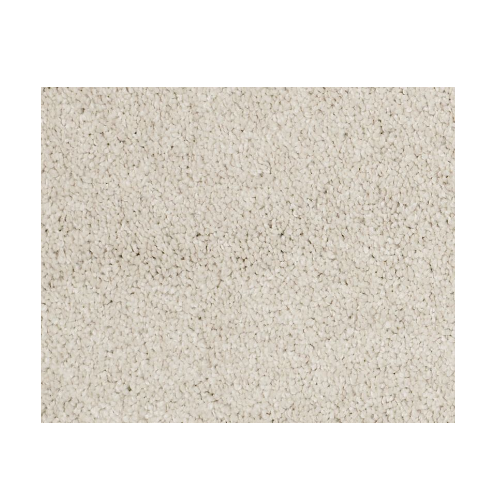 Shaw Castle PV III 00122 Heirloom Textured Nylon Carpet | Lowest Price ...