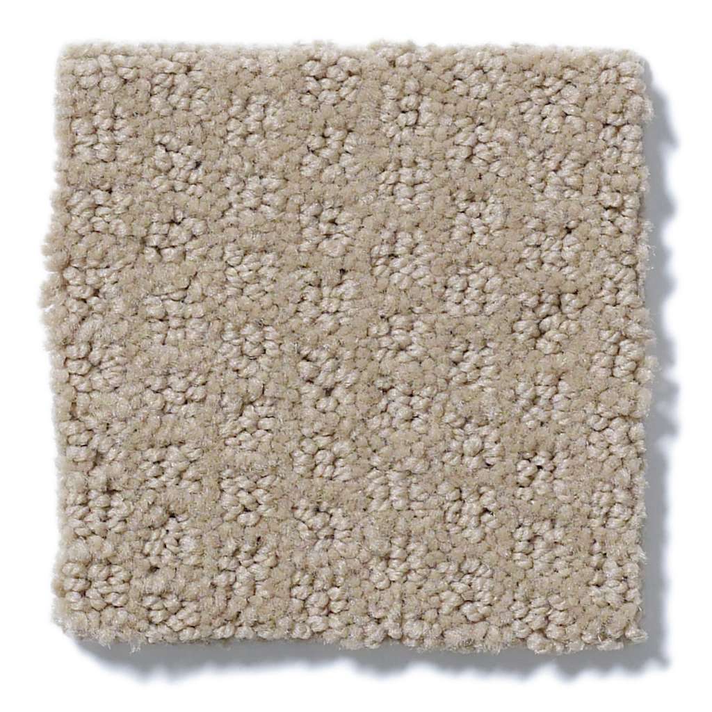 Shaw Simply The Best Pacific Trails 00753 Hiking Trail Nylon Carpet ...