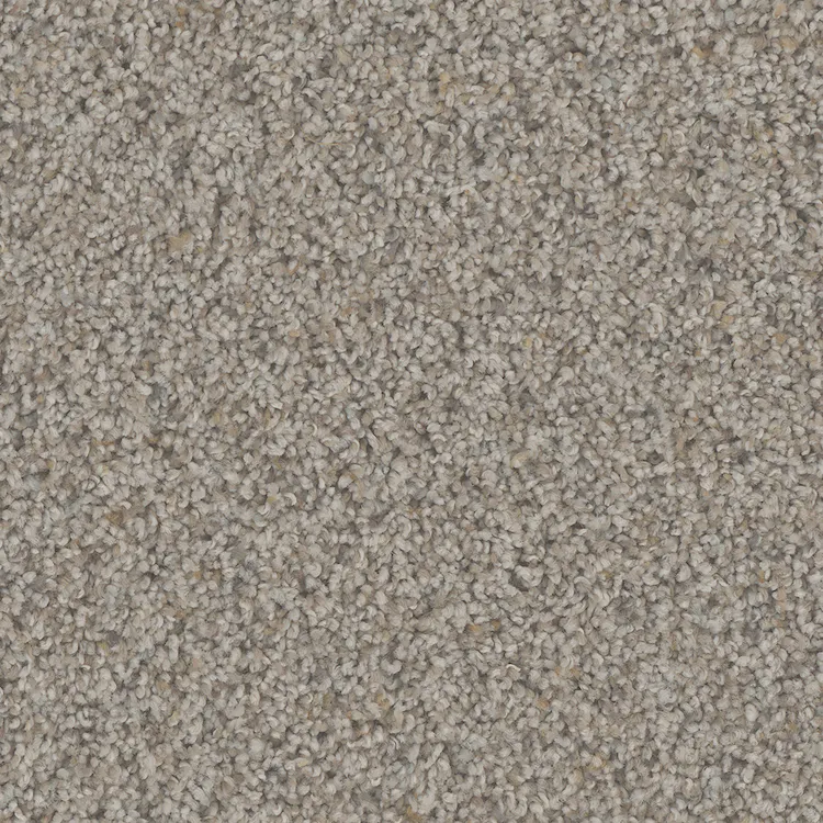 Phenix FloorEver PetPlus Rhodes 731 Hilltop Textured Nylon Carpet — Stone & Tile Shoppe, Inc.