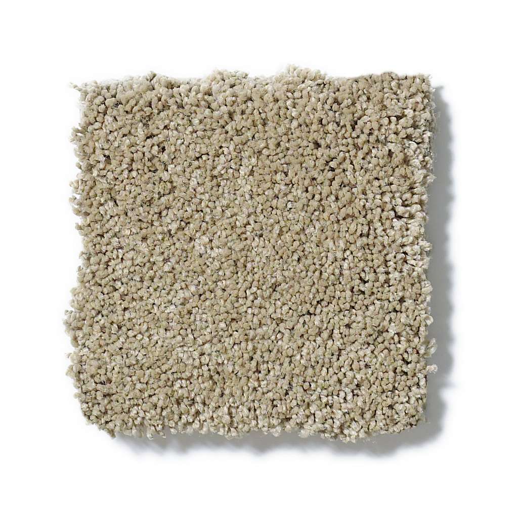 Shaw Caress By Shaw Quiet Comfort I 00702 Himalaya Nylon Carpet — Stone ...