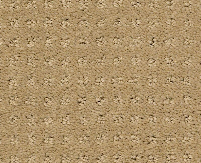 Shaw My Style Pattern 00722 Honey Pot Pattern Nylon Carpet — Stone ...