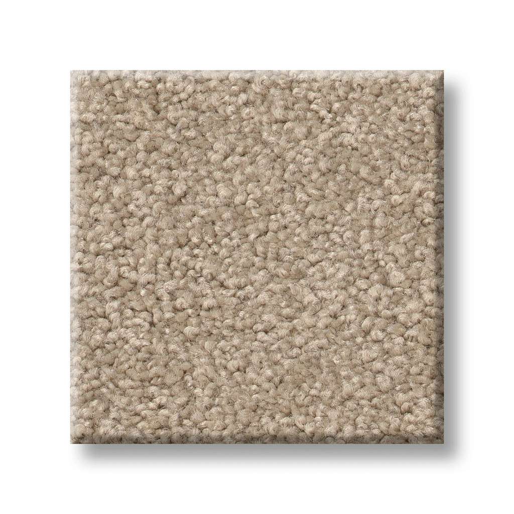 Shaw Origins II 00763 Ice Coffee Textured Nylon Carpet | Lowest Price ...