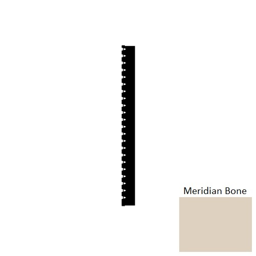 Flexco Base Sculptures 030 Meridian Bone Icon SCI Rubber Wall Base ...