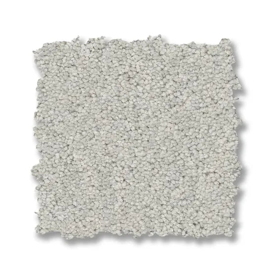 Anderson Tuftex Elegant Beauty 00341 Icy Mor Nylon Carpet — Stone ...