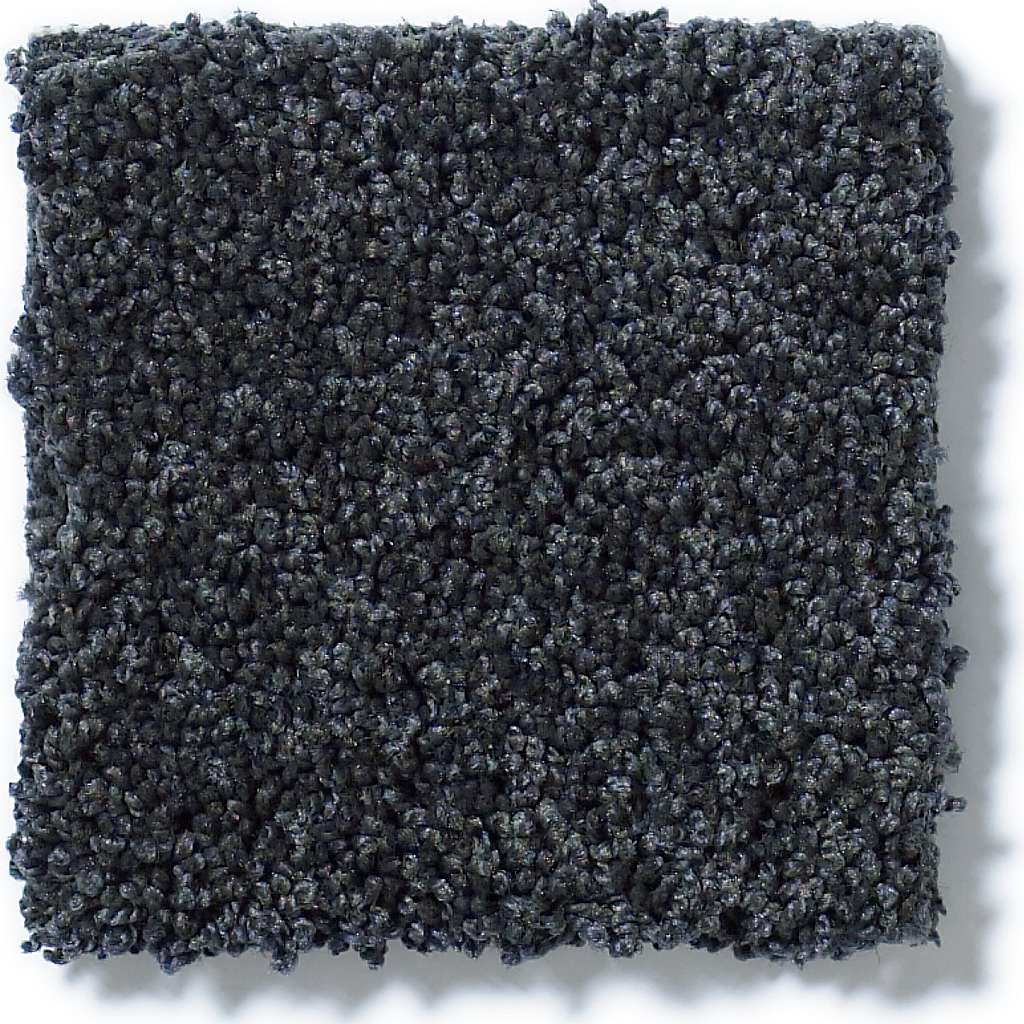 Shaw Soft Shades My Choice II 00451 Indigo Textured Nylon Carpet ...