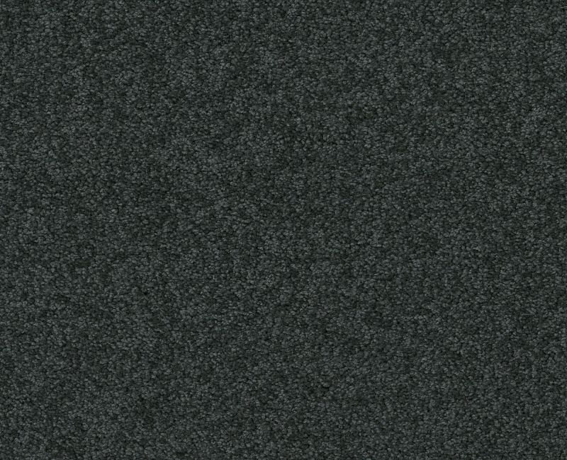 Shaw My Style 3 00451 Indigo Textured Nylon Carpet | Lowest Price ...