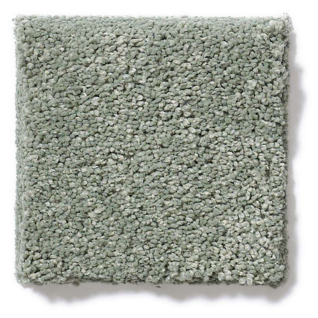 Shaw Caress By Shaw Quiet Comfort Classic IV 00323 Jade Nylon Carpet ...