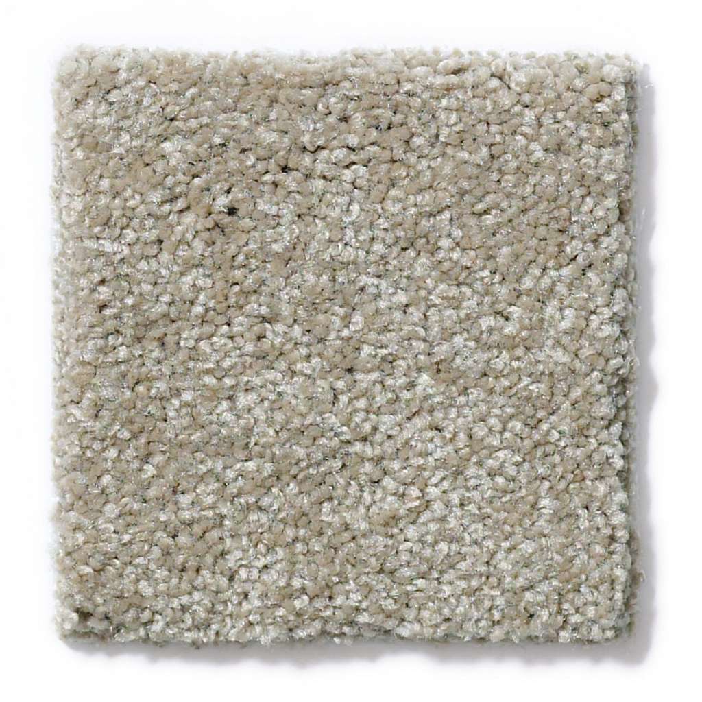 Shaw Something Sweet 00700 Khaki Tan Textured Nylon Carpet — Stone ...