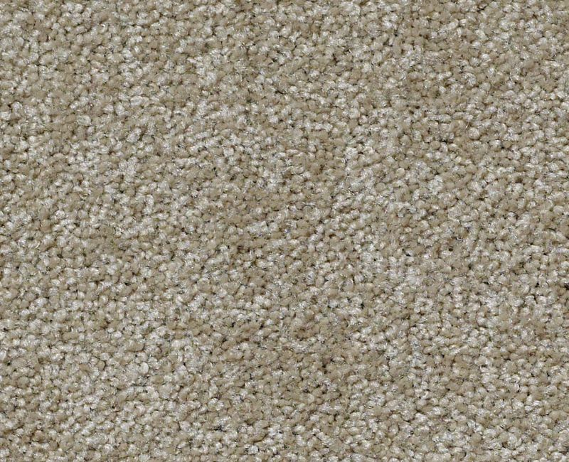 Shaw Great Choice 00700 Khaki Tan Textured Nylon Carpet | Lowest Price ...