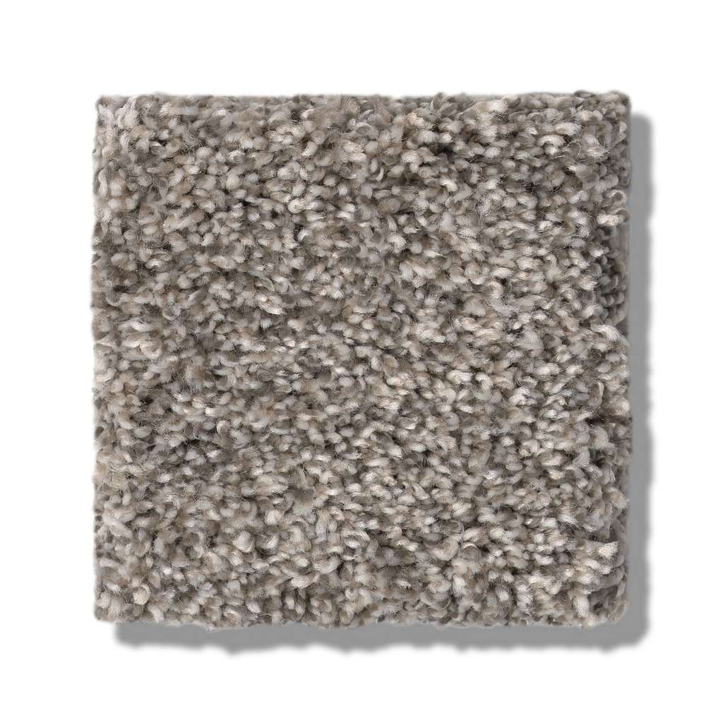 Shaw Pet Perfect Plus Calm Simplicity II 00119 Kidskin Carpet — Stone ...