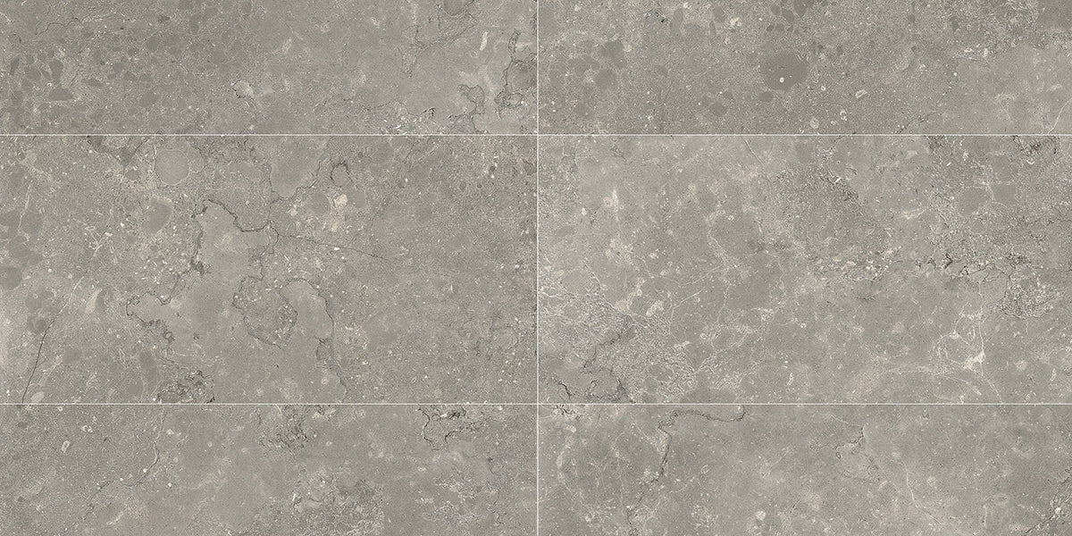 Arizona Tile Lagos Light Grey Matte Porcelain Tile | Lowest Price ...