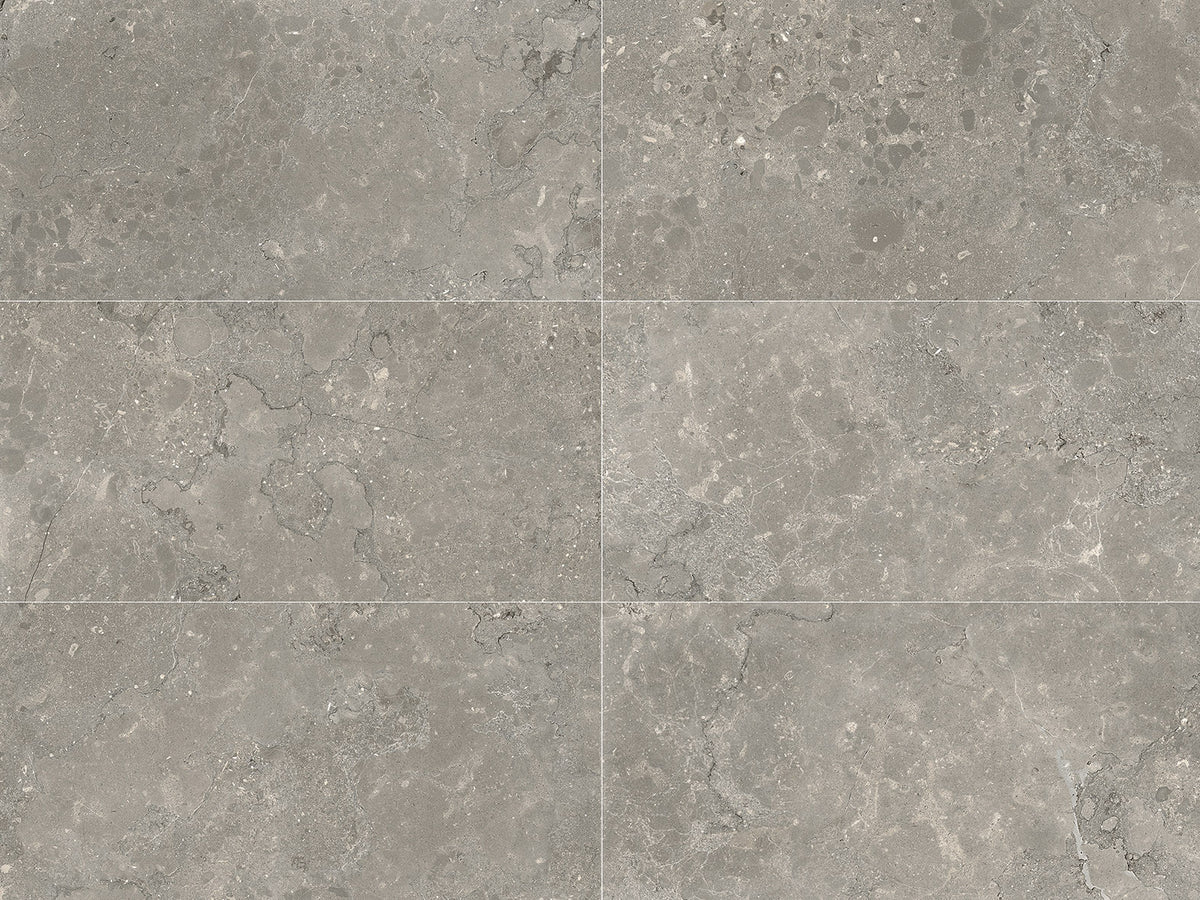 Arizona Tile Lagos Light Grey Matte Porcelain Tile | Lowest Price ...