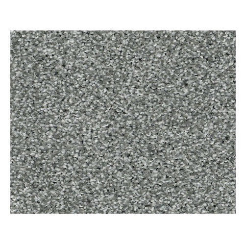 Shaw Vacation Day 28412 Lakeside Textured Nylon Carpet | Lowest Price ...