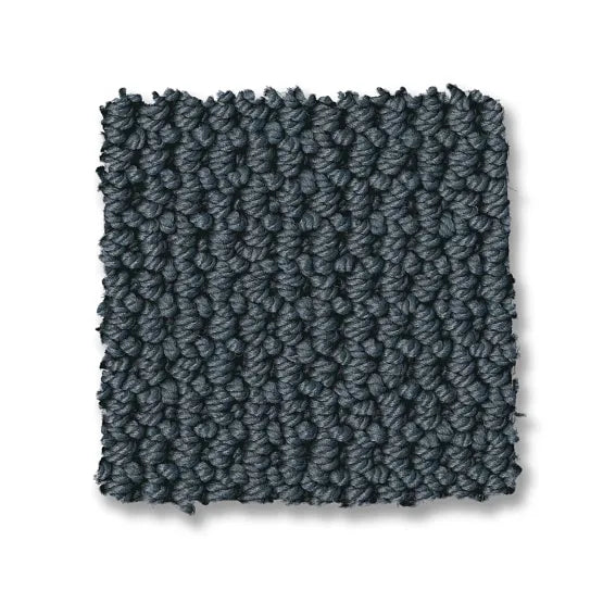 Anderson Tuftex Arden Park 00448 Lakeside Nylon Carpet — Stone & Tile ...