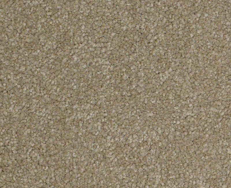 Shaw Magic Happens PV III 00346 Leapfrog Textured Nylon Carpet — Stone ...