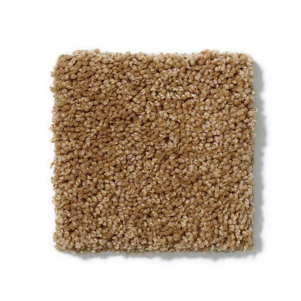 Shaw Origins 00702 Leather Bound Textured Nylon Carpet | Lowest Price ...