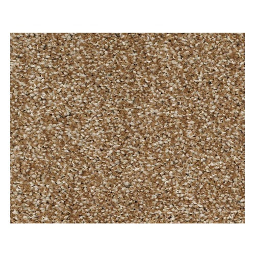 Shaw Striking 00702 Leather Bound Textured Nylon Carpet | Lowest Price ...