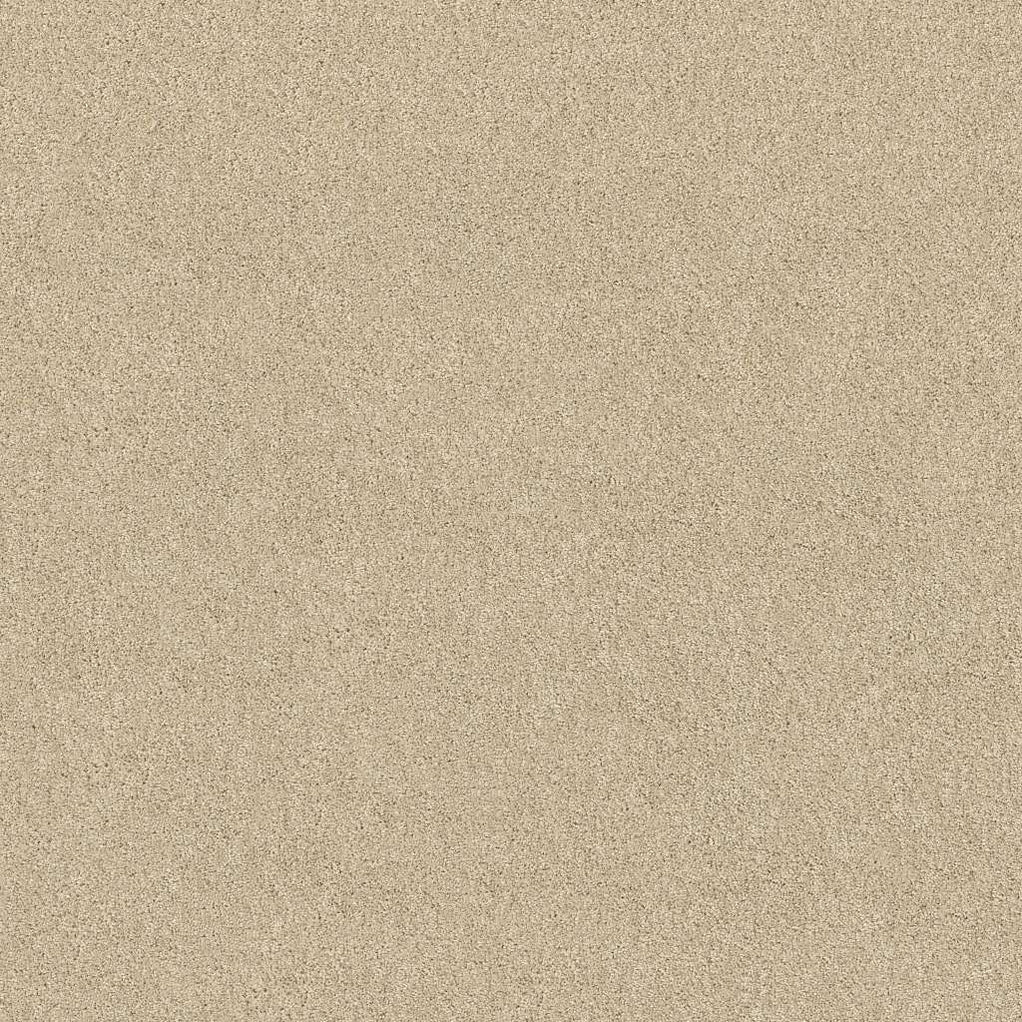 Shaw Origins II 00101 Linen Textured Nylon Carpet | Lowest Price ...
