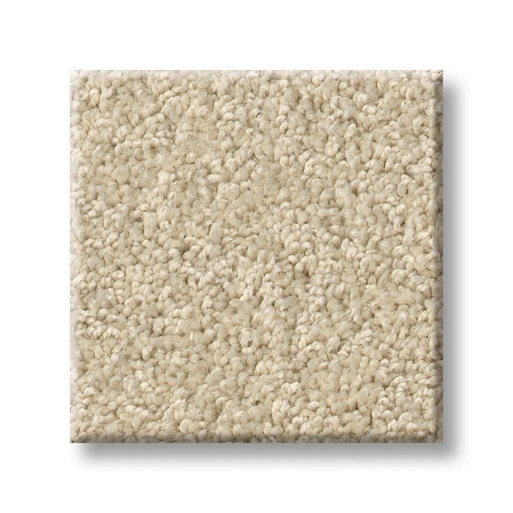 Shaw Origins II 00101 Linen Textured Nylon Carpet | Lowest Price ...