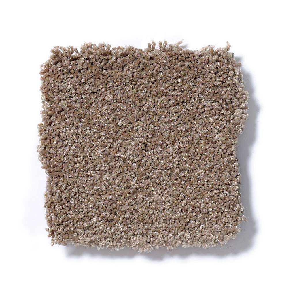 Shaw Everyday Comfort (S) 00311 Log Cabin Textured Nylon Carpet — Stone ...