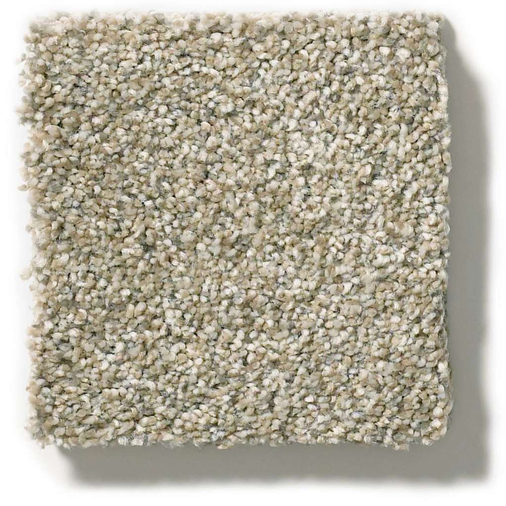Shaw Simply The Best Montage I 140A Lunar Surface Polyester Carpet ...