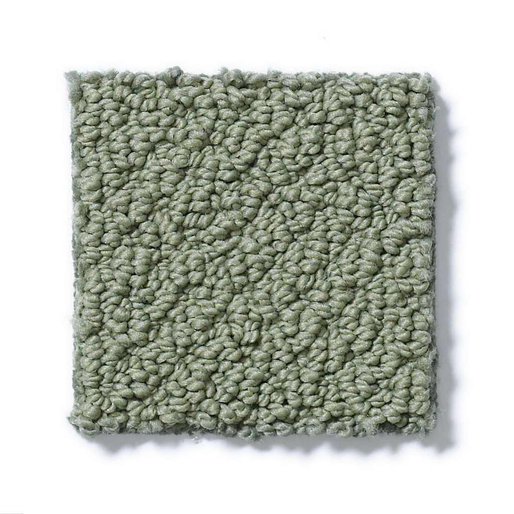 Shaw Foundations Smart Thinking 00391 Lush Garden Loop Nylon Carpet ...