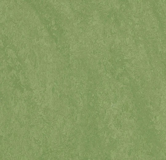 Forbo Marmoleum Composition Tile MCT 3260 Leaf Linoleum Tile — Stone ...