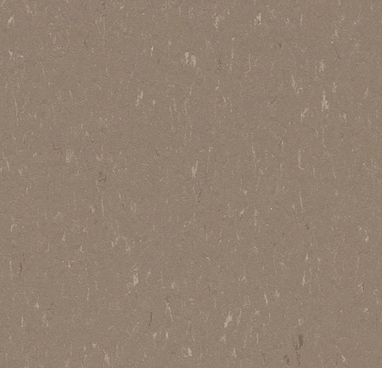 Forbo Marmoleum Composition Tile MCT 3631 Otter Linoleum Tile — Stone ...