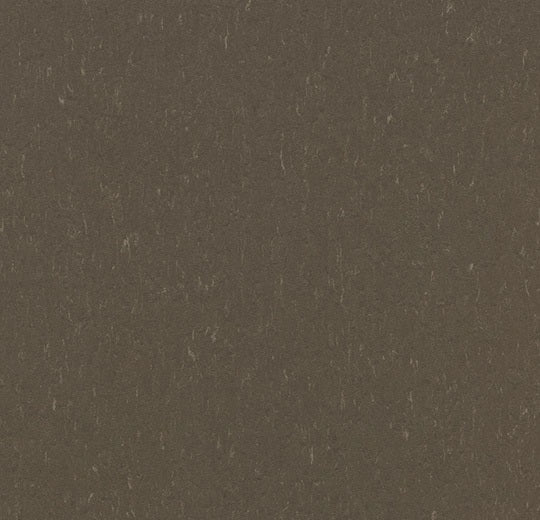 Forbo Marmoleum Composition Tile MCT 3657 Hazelnut Linoleum Tile ...
