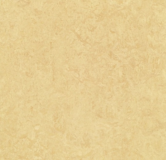 Forbo Marmoleum Composition Tile MCT 795 Butter Linoleum Tile — Stone ...