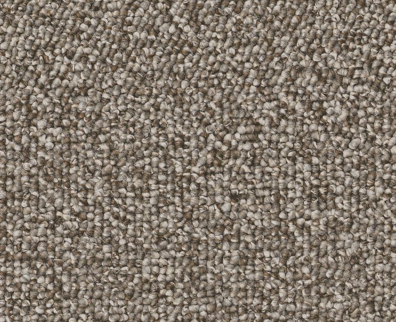 Philadelphia Commercial Avenue 00710 Light Brown Gray Polyester Carpet ...