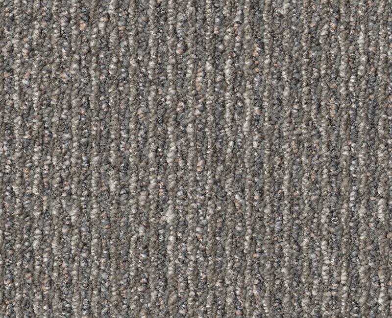 Philadelphia Commercial Prelude 00501 Light Gray Polyester Carpet ...