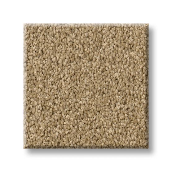 Anderson Tuftex Serendipity I 00232 Macadamia Textured Nylon Carpet ...