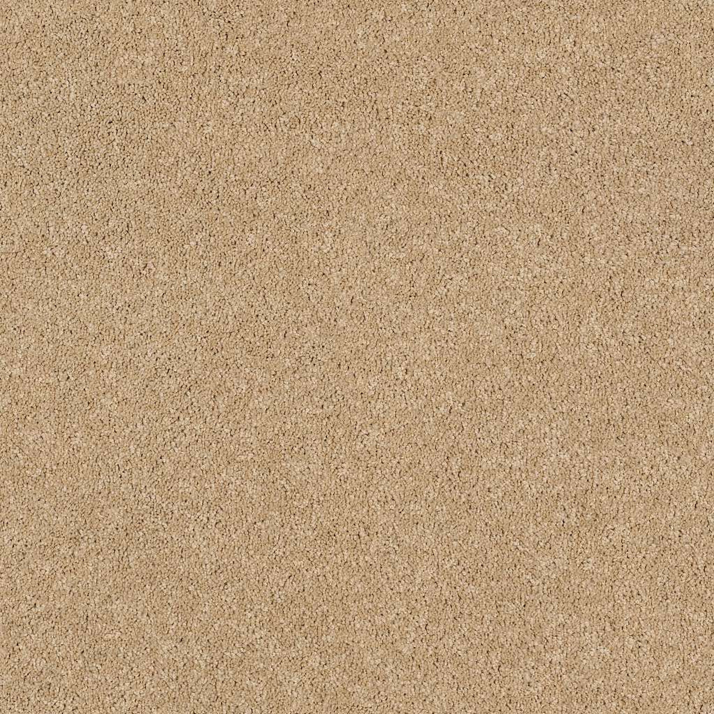 Shaw Caress By Shaw Quiet Comfort Classic III 00221 Manilla Carpet ...