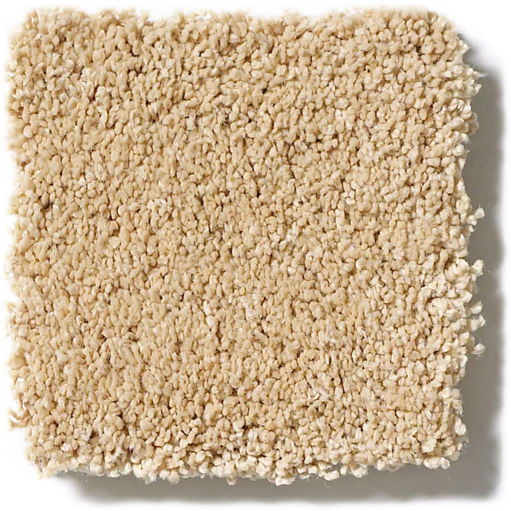 Shaw Caress By Shaw Quiet Comfort Classic III 00221 Manilla Carpet ...